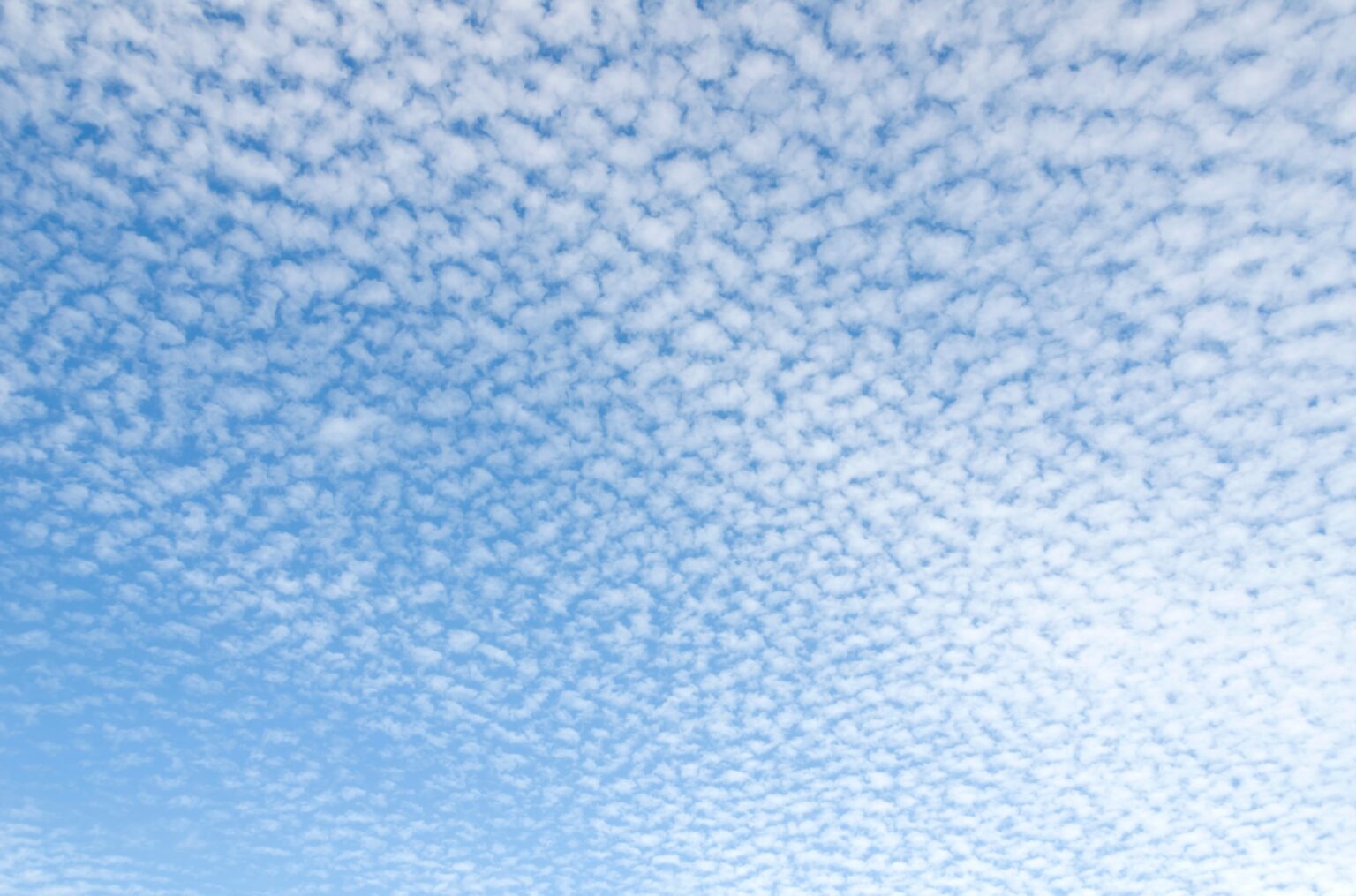 Skyer på himlen | Naturtavlen.dk