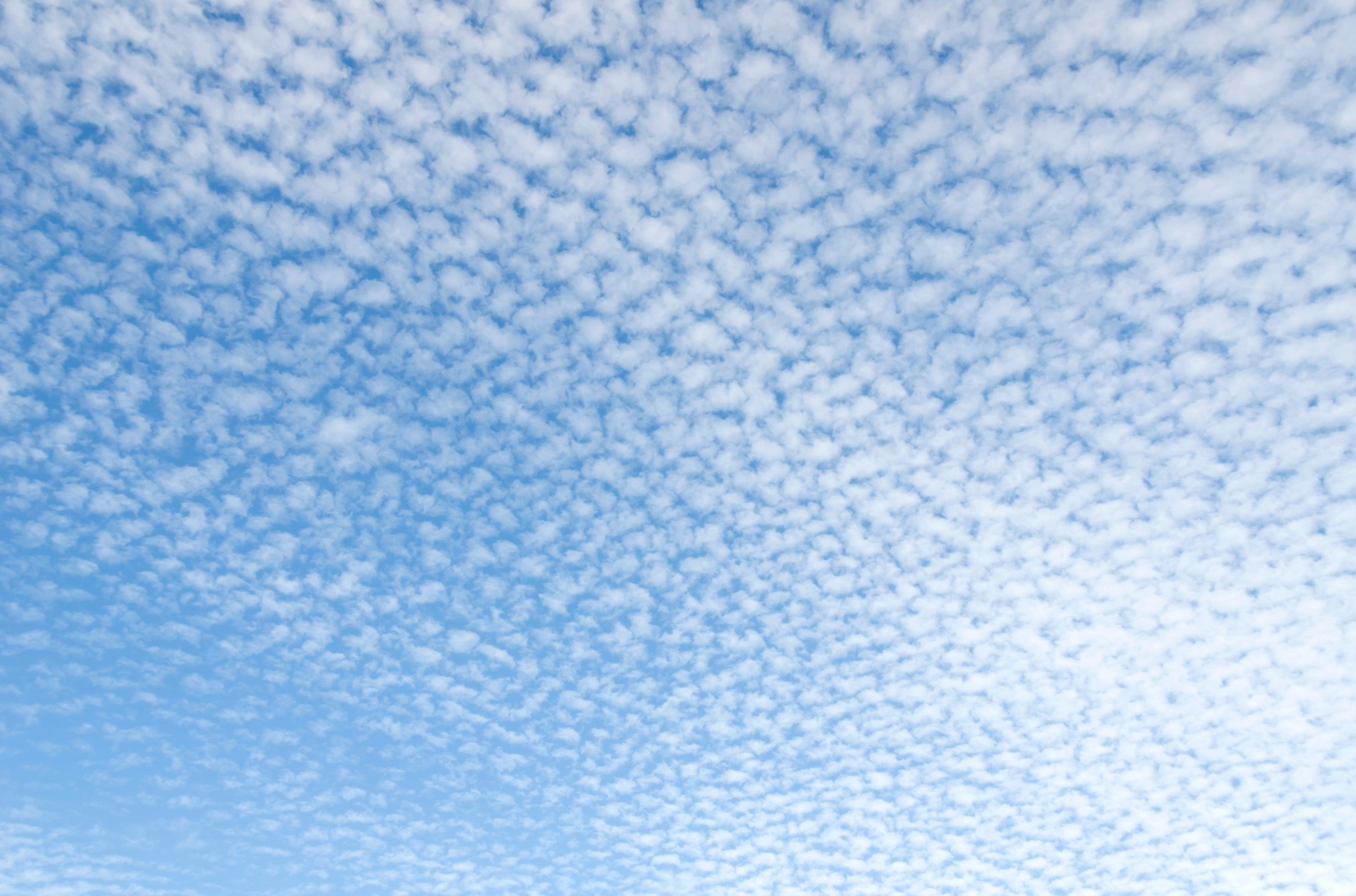 Skyer på himlen | Naturtavlen.dk