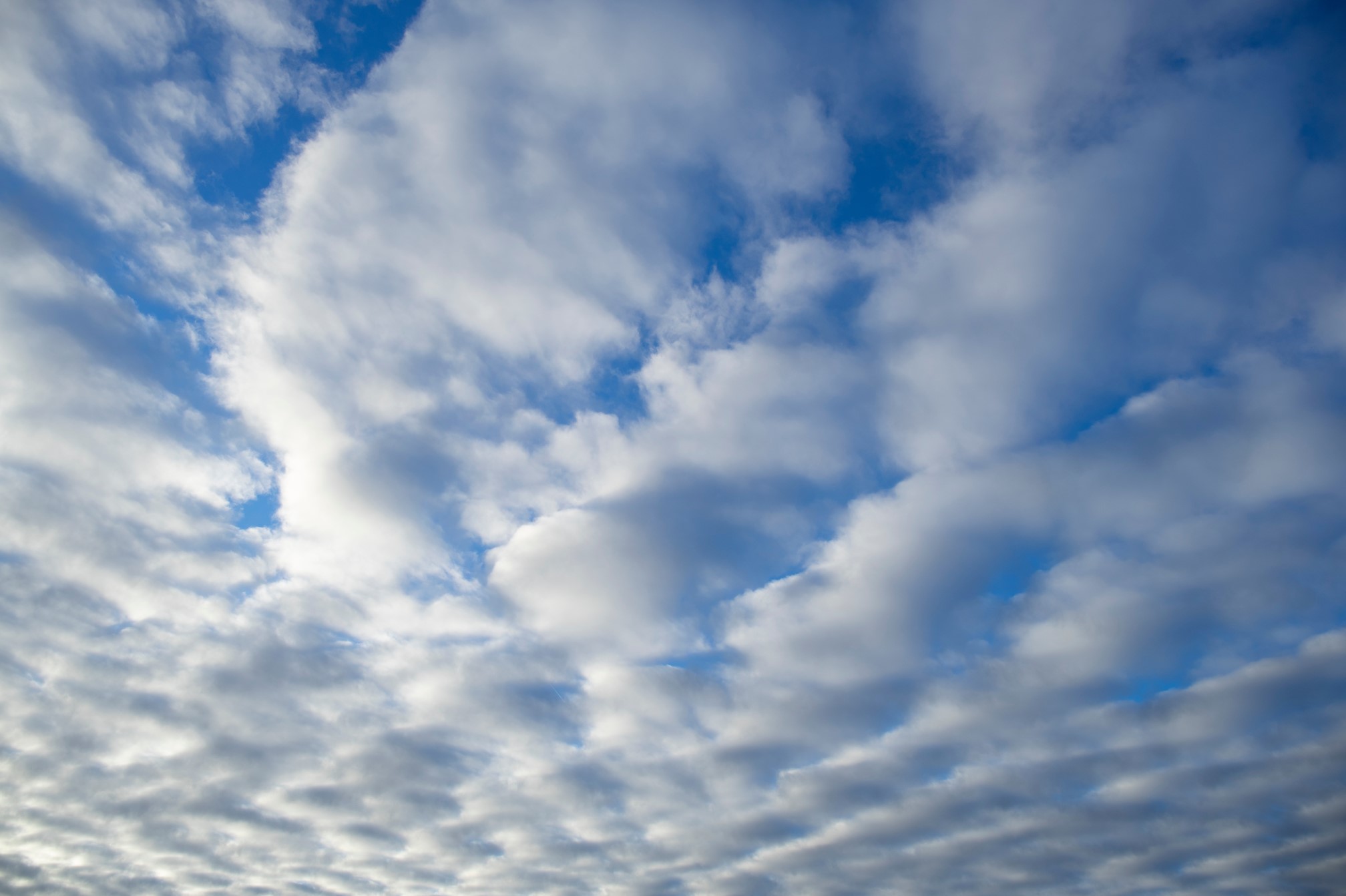 Skyer på himlen | Naturtavlen.dk