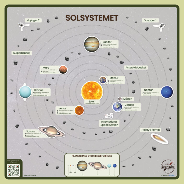 Solsystemet | Naturtavlen.dk
